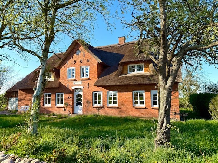 Det Danske Hus - Wohnung Steuerbord (270802) - Utersum