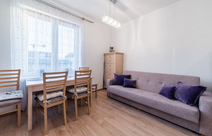 Wilda Homely Apartment - Poznań