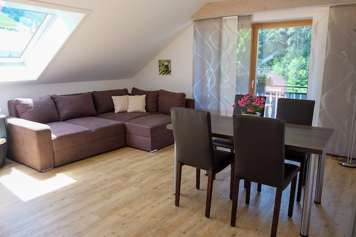 Mühlefelsen, Typ B, 45 Qm - Münstertal/Schwarzwald