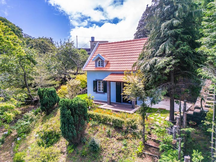 Chalé Das Figueirinhas By Alma Holiday Rentals - Madeira