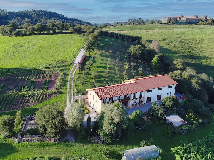 Espectacular Apartamento En Comillas - San Vicente de la Barquera