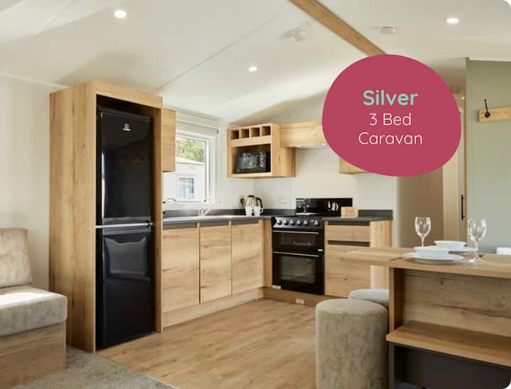 Billing Aquadrome Silver 3 Bed Caravan Hw87 - Northampton