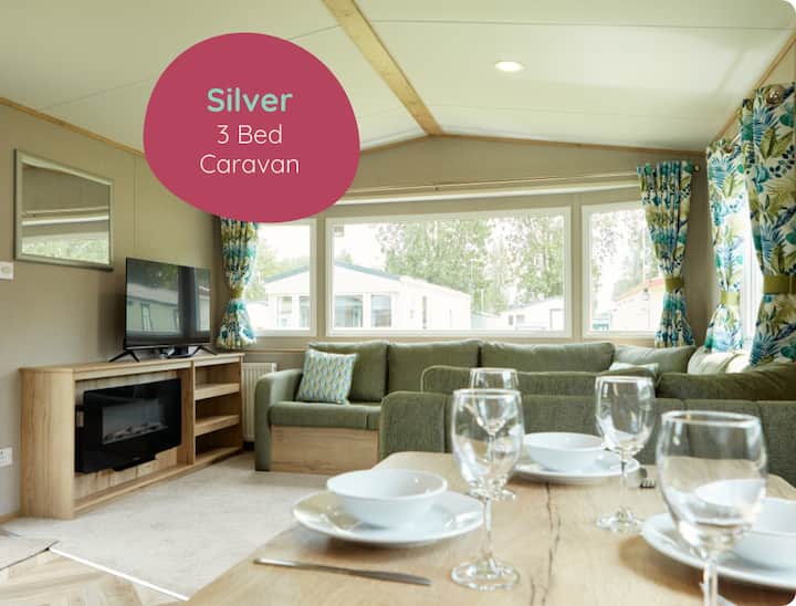 Billing Aquadrome Silver 3 Bed Caravan Cd50 - 北安普頓
