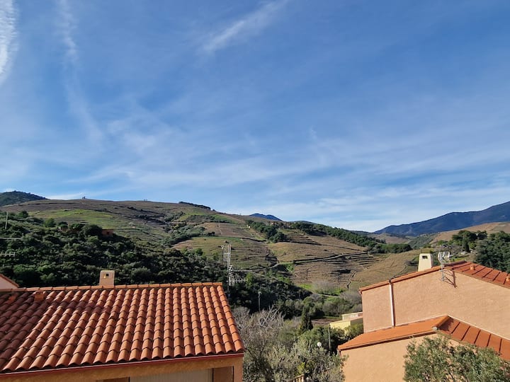 Banyuls-sur-mer Maison 8 Pers, 104 M² - Portbou