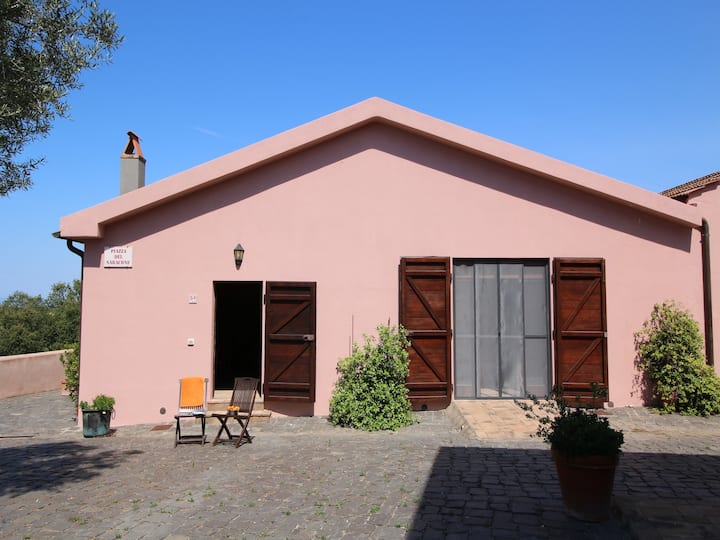 Ferme à Montalto Di Castro Avec Piscine - Tarquinia