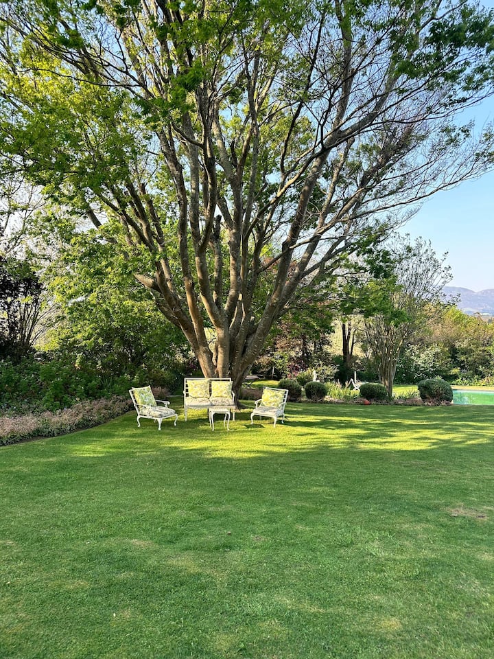 Charming Cottage In Elgin, Grabouw - Grabouw