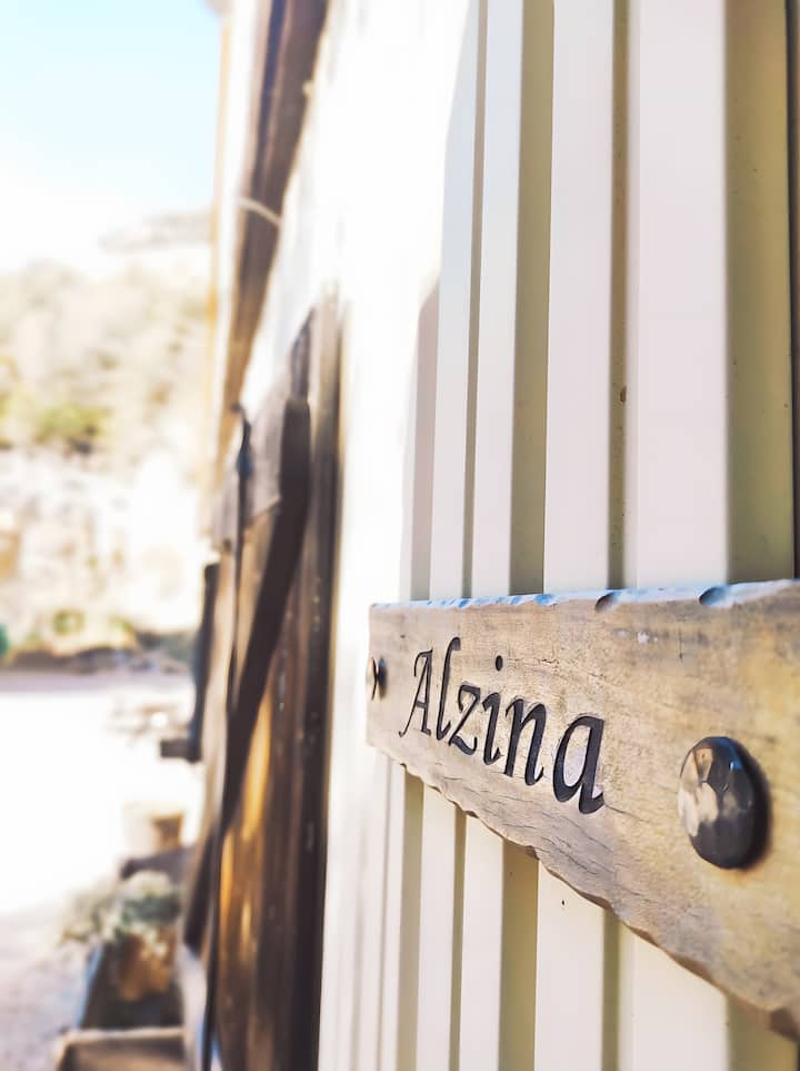 Alzina - Solsona