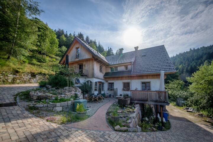 Sichtweiten-auszeit (268226) - Seebach