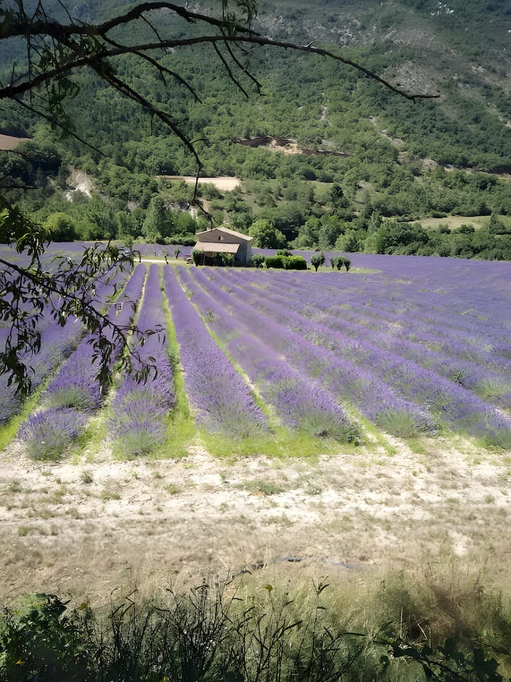 Camping Sainte-jalle - Buis-les-Baronnies
