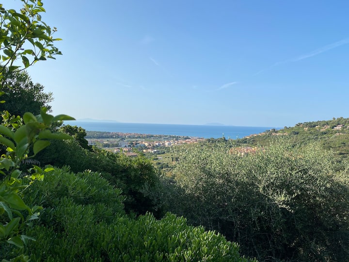 Appartamento Poggiodoro - Castiglione della Pescaia