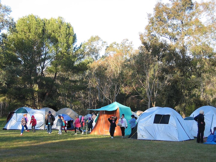 Mclaren Flat: Ken Maguire Reserve - McLaren Vale