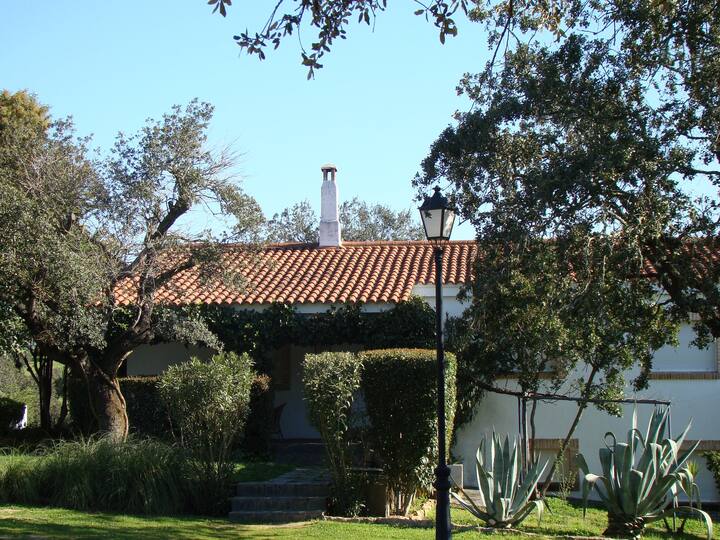 Maison De Vacances Moderne Avec Piscine - Alentejo