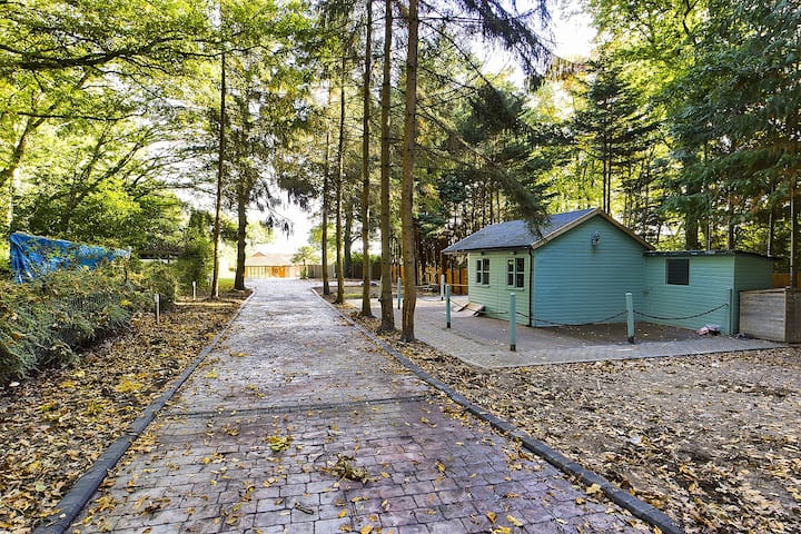 Private Four Bedroom Bungalow In Chertsey - Woking