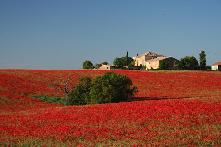 Mas Au Clos De La Tuilerie - Gréoux-les-Bains