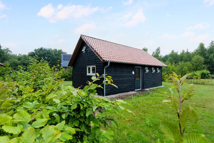 Forest Cottage 200 At De Kremmer – Peace & Nature - Stadskanaal