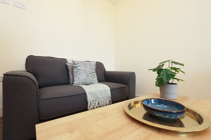 The Swansea Central Hall 1 Bed Room Apartment - Swansea