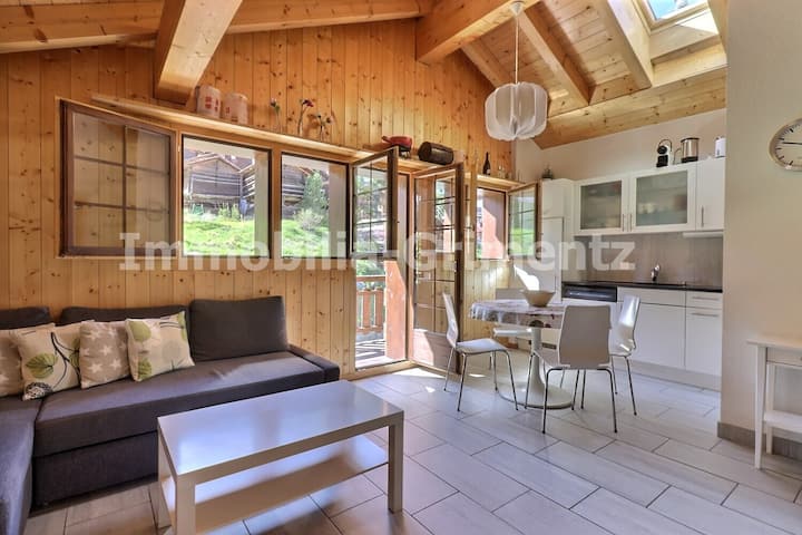 Platane B 10 - Grimentz