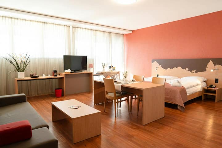 Apartment With Terrace At Swissever Hotel - Zug
