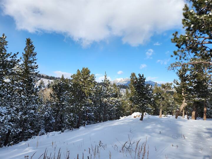 Coopers Cabin - Allenspark, CO