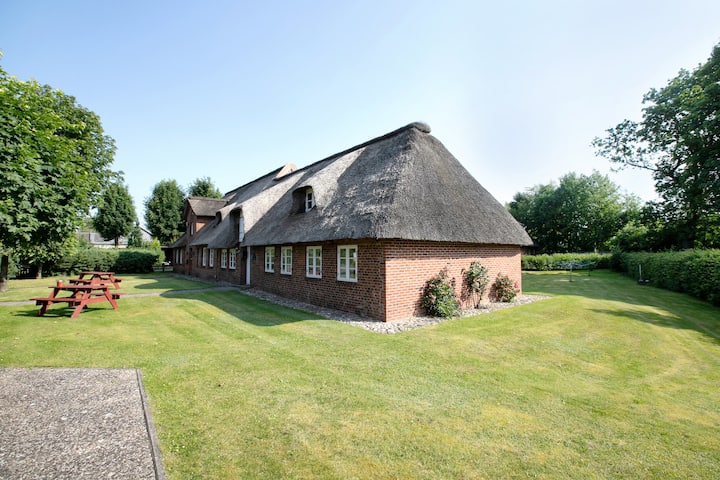 Friesisches Reetdachferienhaus - Bordelum