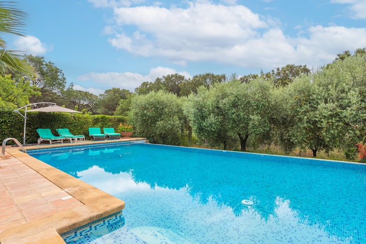 Appartement Domi - Grimaud