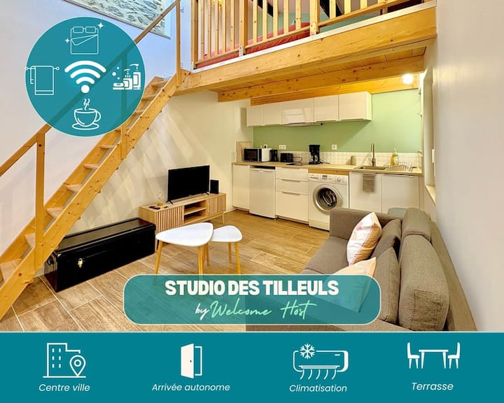 Le Studio Des Tilleuls, Climatisé & Vrai Lit - Nîmes