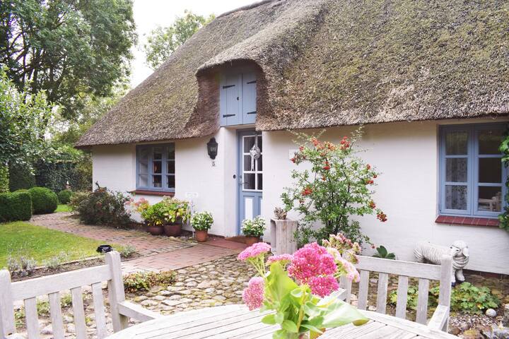 Ferienhaus Heimathafen Bordelum - Bordelum