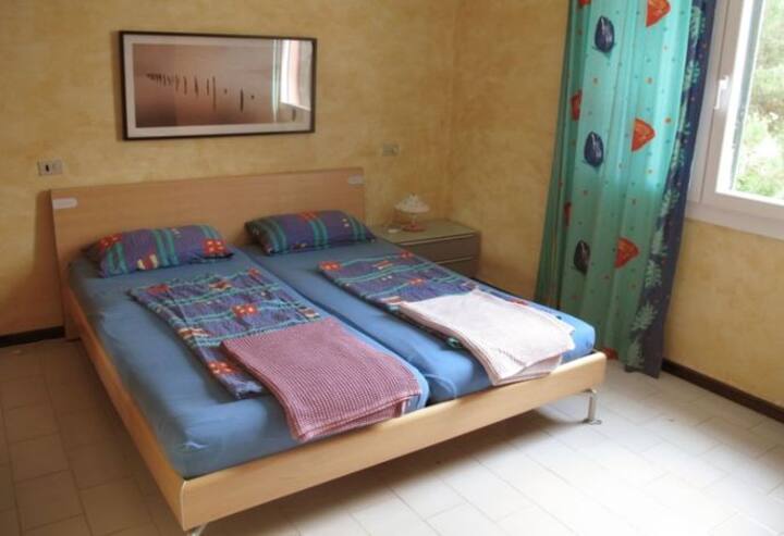 Casa 962 - Albarella