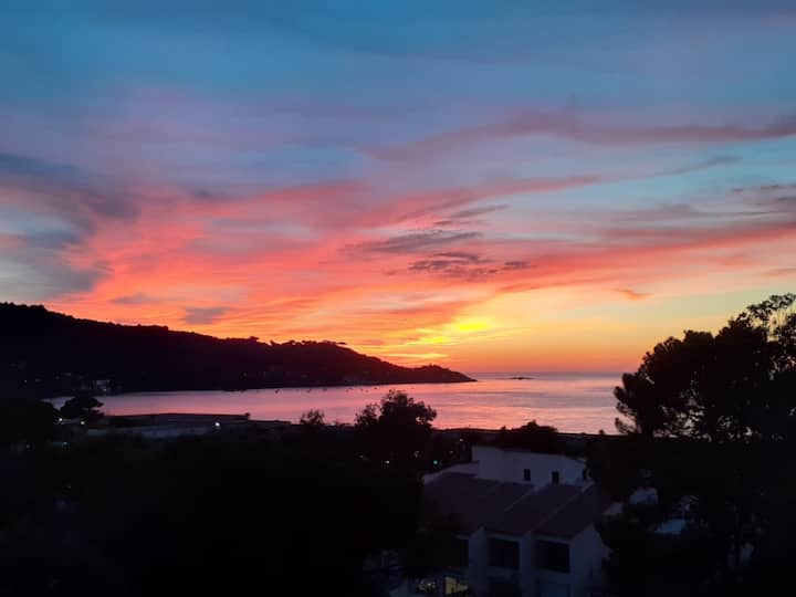 Bel Appartement à 100m De La Plage - Tiuccia