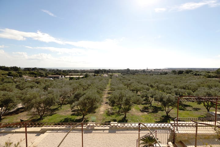 Gîte Lavande - Villeneuve-lès-Maguelone
