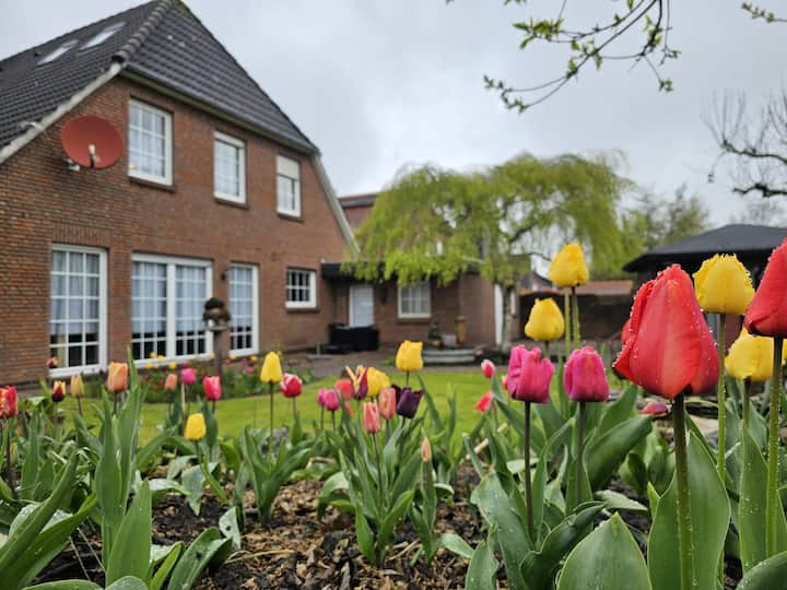 Ferienwohnung Buhne 2 - Norden