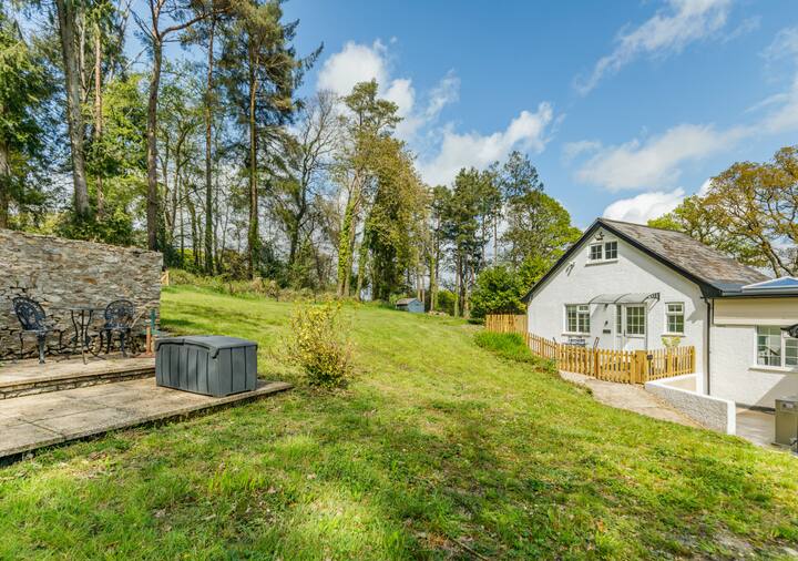 Little Whitehayes - Honiton