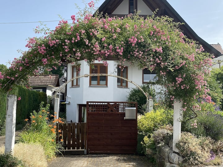 Dalea - Bad Waldsee