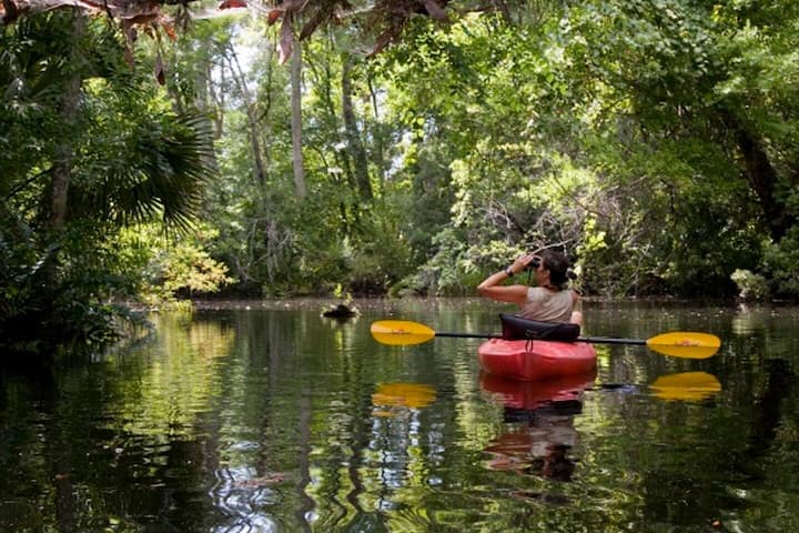 Gulfside Getaway - Beaches & Downtown - New Port Richey, FL