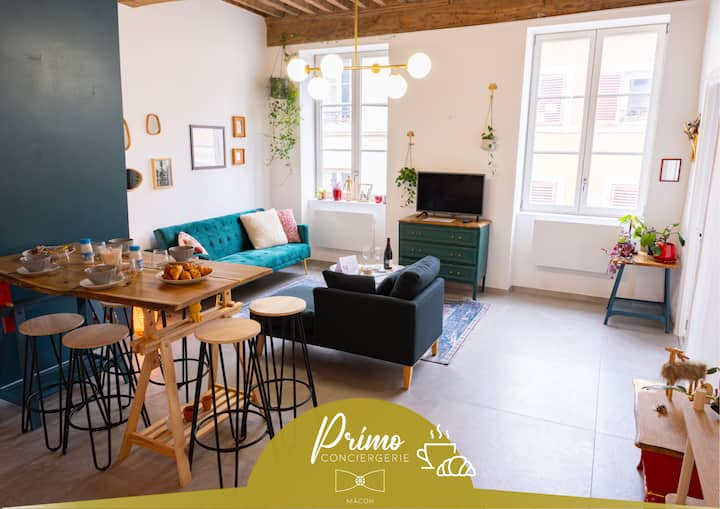 Le Carnot >•< Appartement 2chambres Hyper Centre - Mâcon