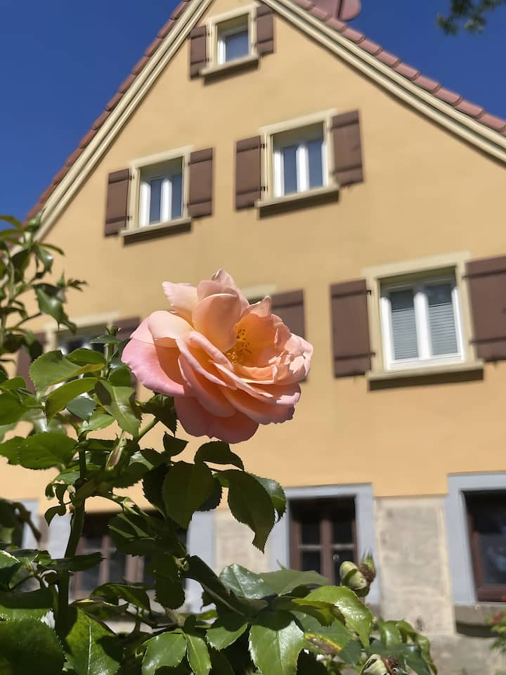 Alte Schmiede Ellrichshausen - Crailsheim
