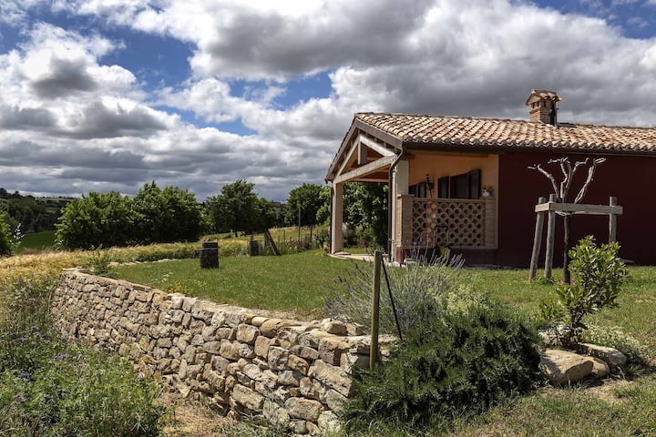Quindici Alberi La Chioccia (272782) - Marche