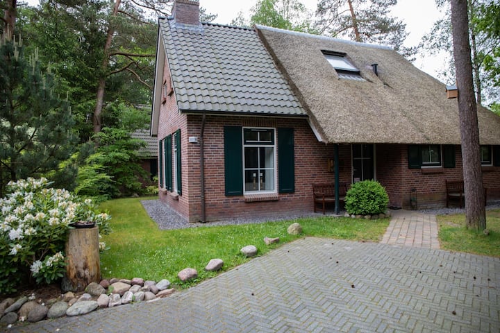 Stuifzand Bungalow With Bedstead | 6+2 Persons - Assen