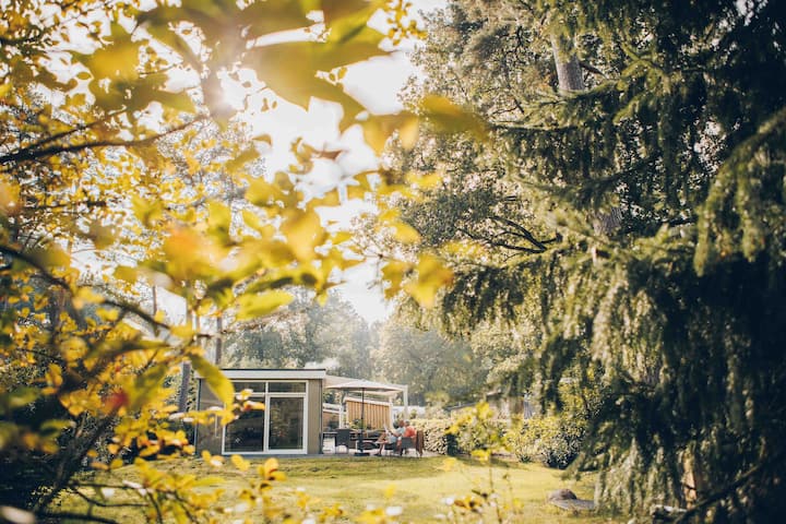 Boterbloem Wellness Chalet | 4 Persons - Assen