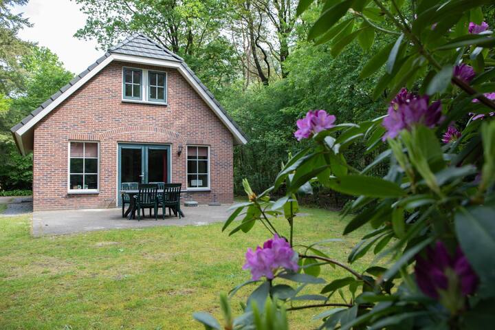 Stuifzand Bungalow | 8 Persons - Assen