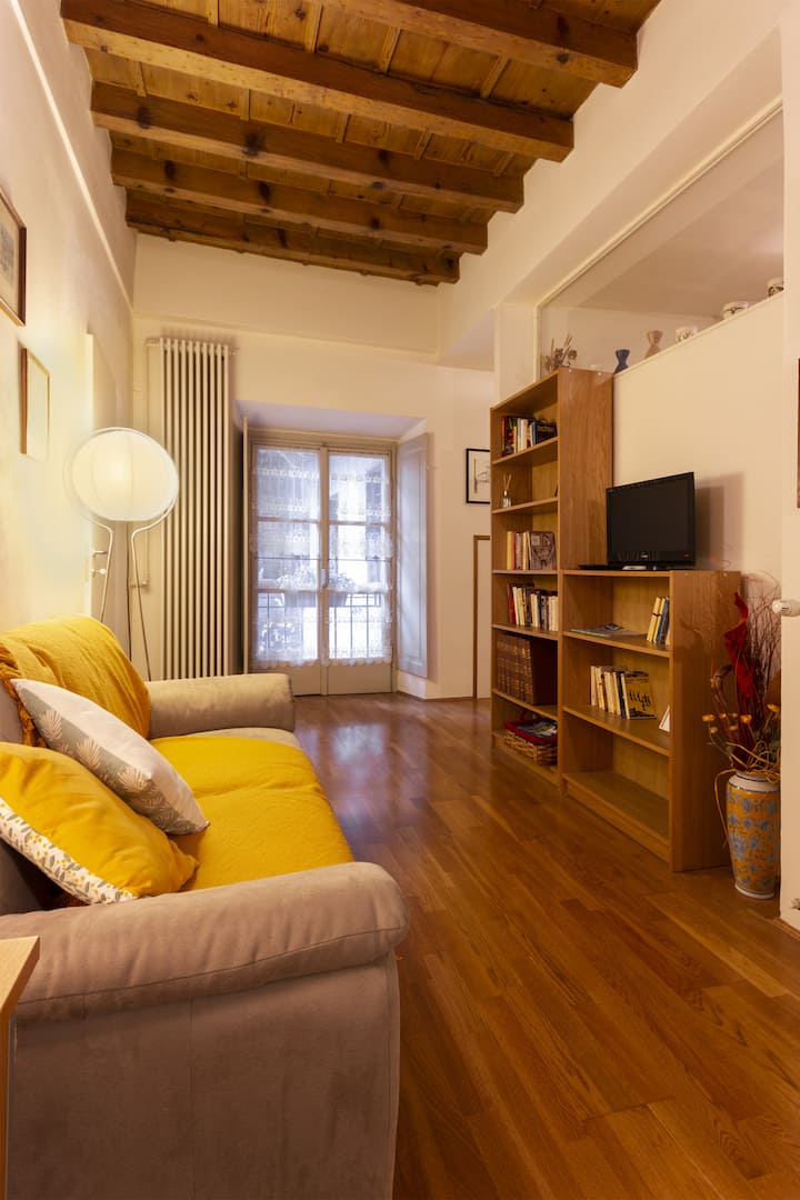 Cavour Apartment - Mantua