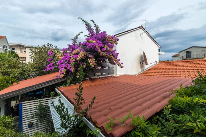 Maison Zeljko (10625-k1) - Igrane