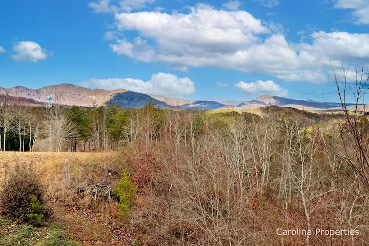Cozy Bear Lodge - Big View, Spacious Home! - North Carolina