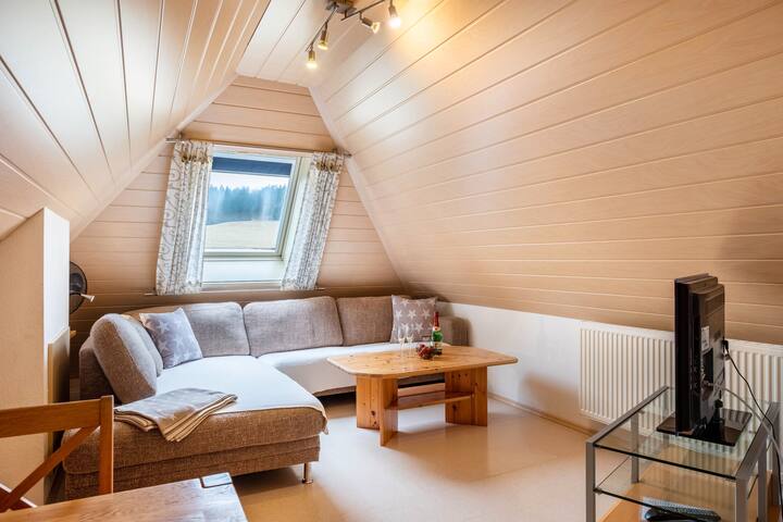 Ferienwohnung Sternenhimmel, 35qm - Titisee-Neustadt