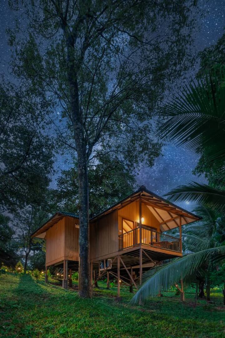 De Spicewoods | Ac | Infinity Pool | Hill View - Kerala