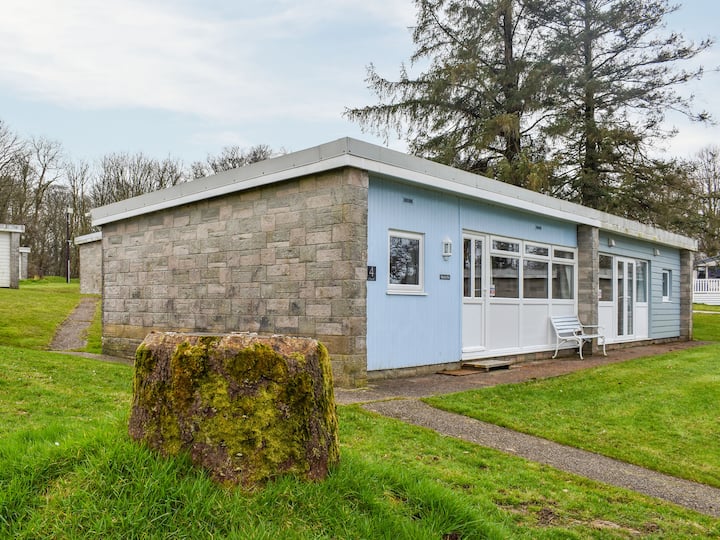 Sea La Vie - Clovelly