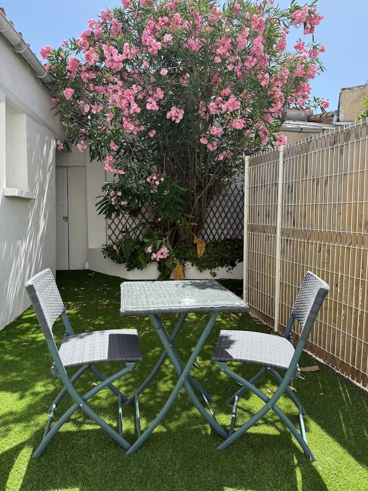 Le Petit Saintonge-cour Privée Et Climatiseur - Saintes