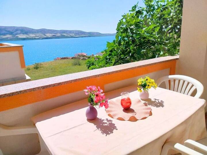 Appartement Poolhouse (10472-a2) - Karlobag