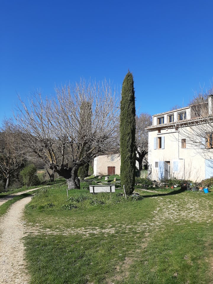 Studio Bas Verdon - Valensole