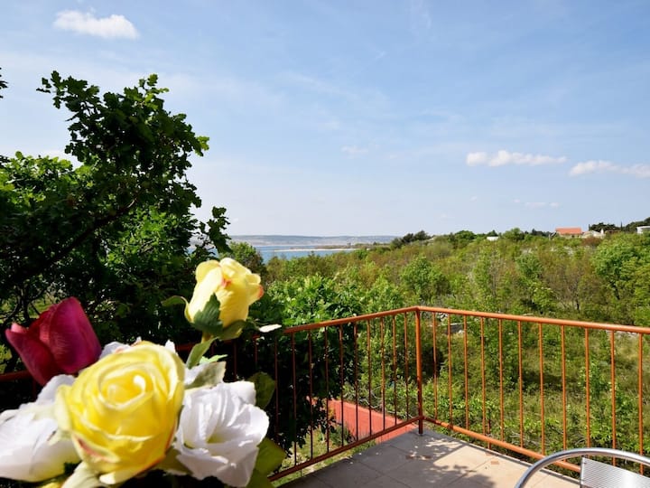 Appartement Mari (10833-a2) - Starigrad